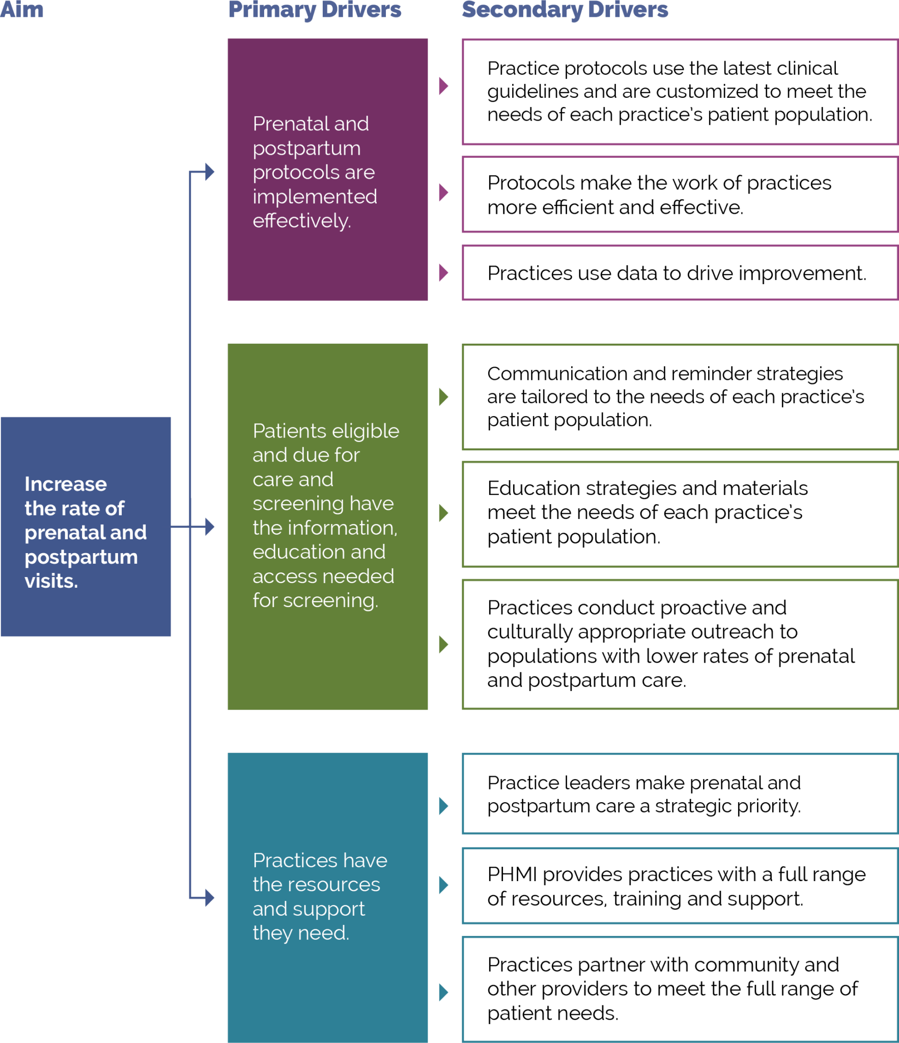 Pregnant People Guide | PHM Initiative